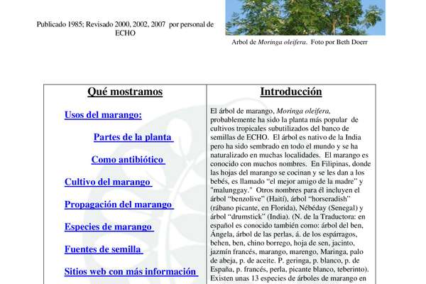 TN #12 El Árbol de Marango | ECHOcommunity.org