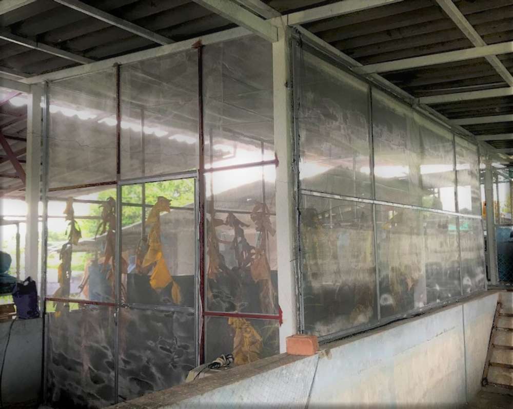 Establishing a Scaled-Up Black Soldier Fly System | ECHOcommunity.org