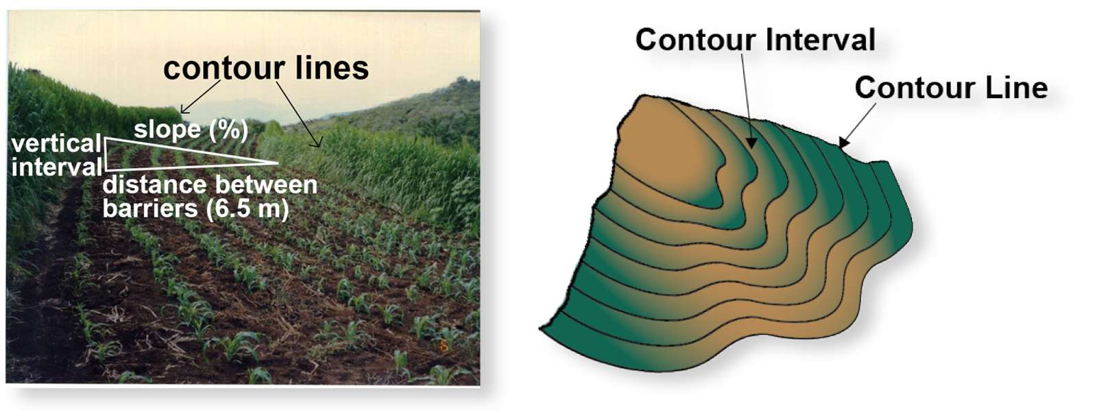 Contour Cultivation and Live Barriers for Small-Scale Farmers ...