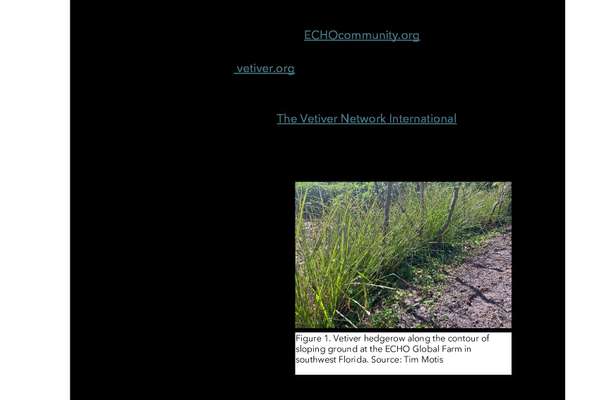 ECHO Article Submission Example | ECHOcommunity.org