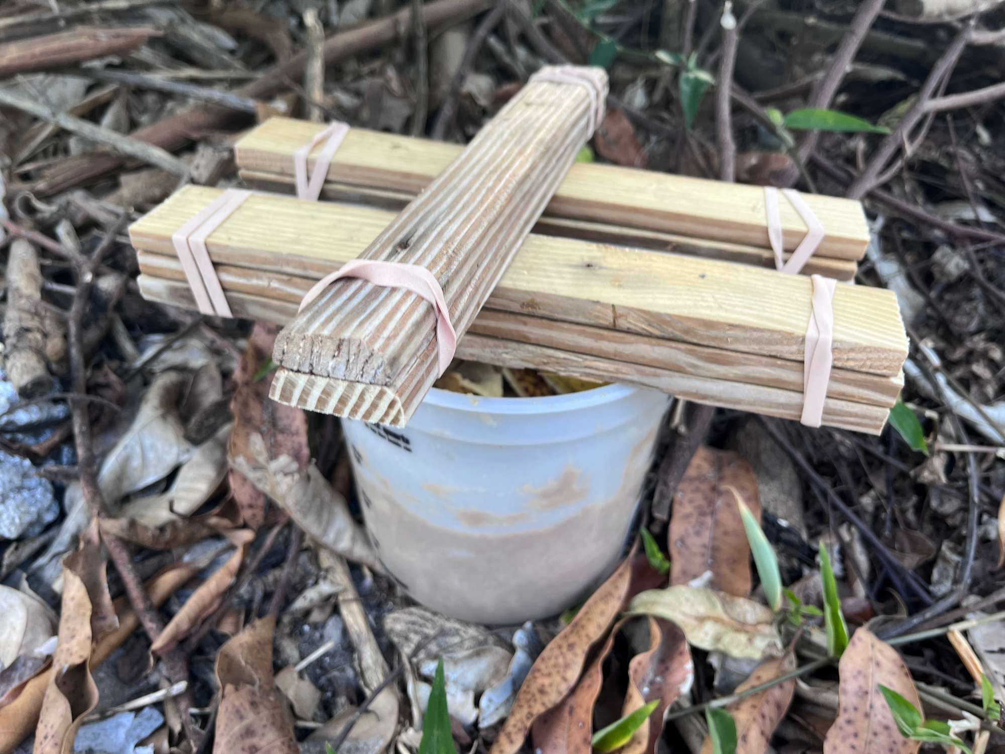 Black Soldier Fly Larvae Production | ECHOcommunity.org