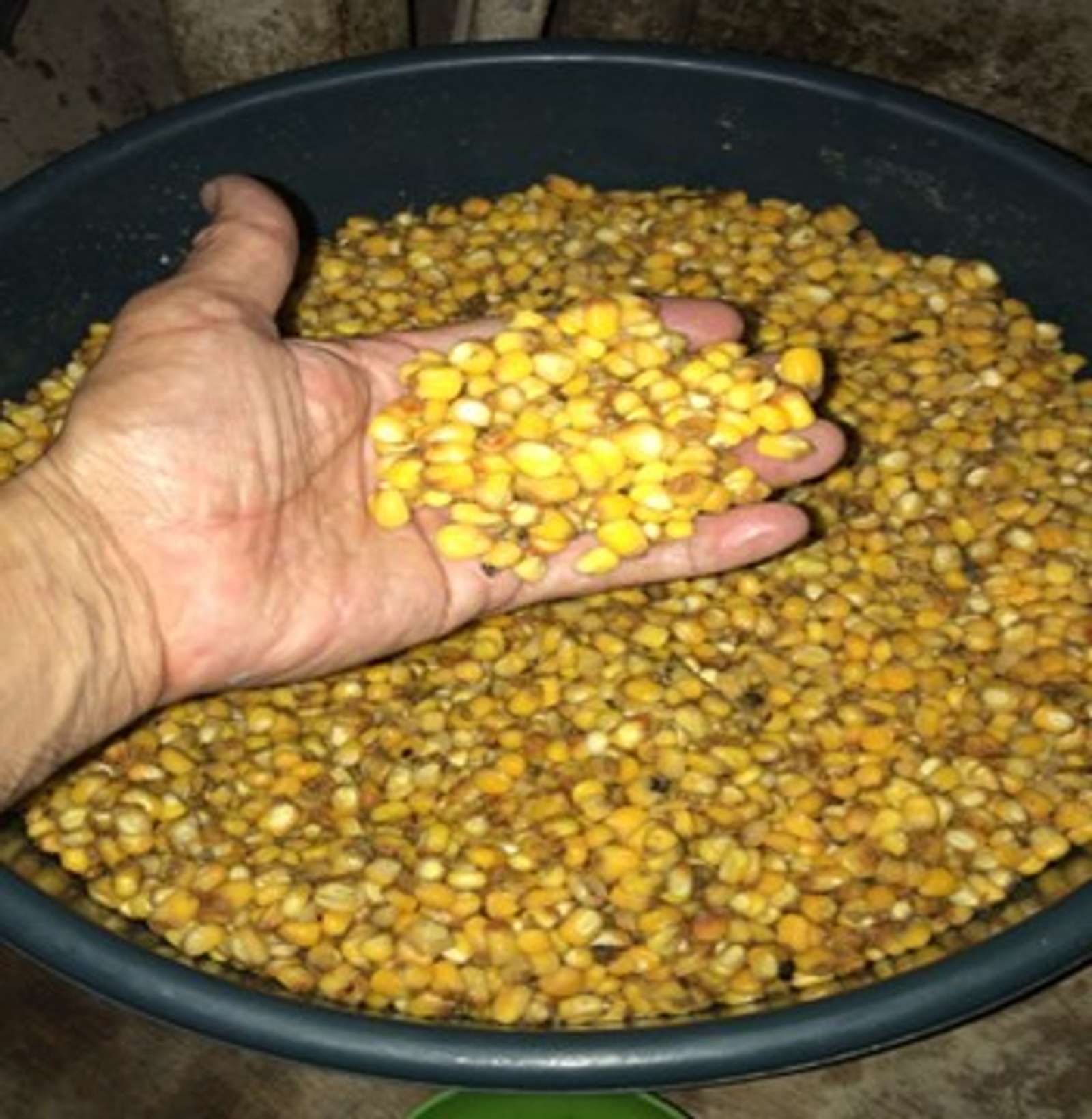 Nixtamalization | ECHOcommunity.org