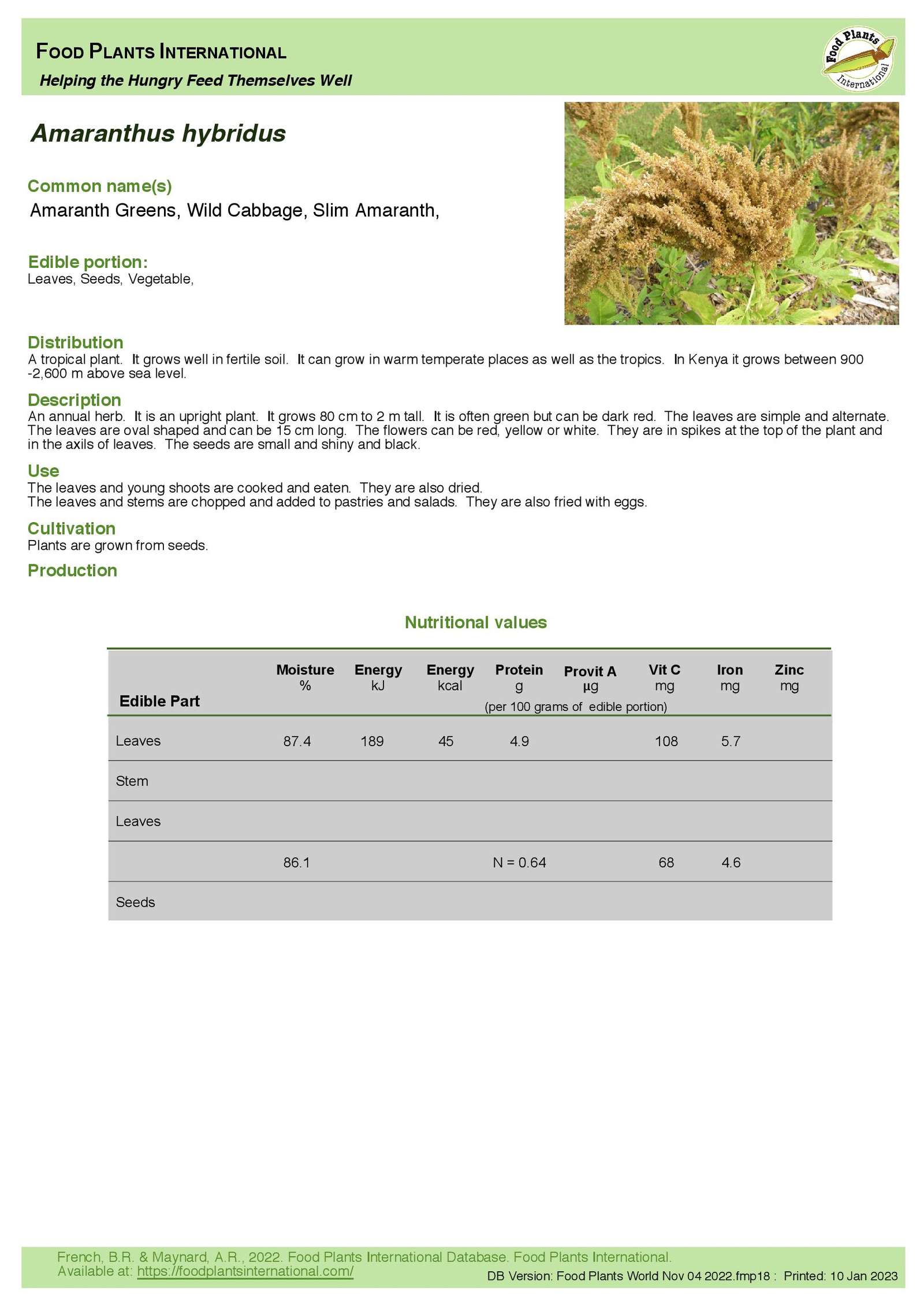 Amaranthus hybridus | ECHOcommunity.org