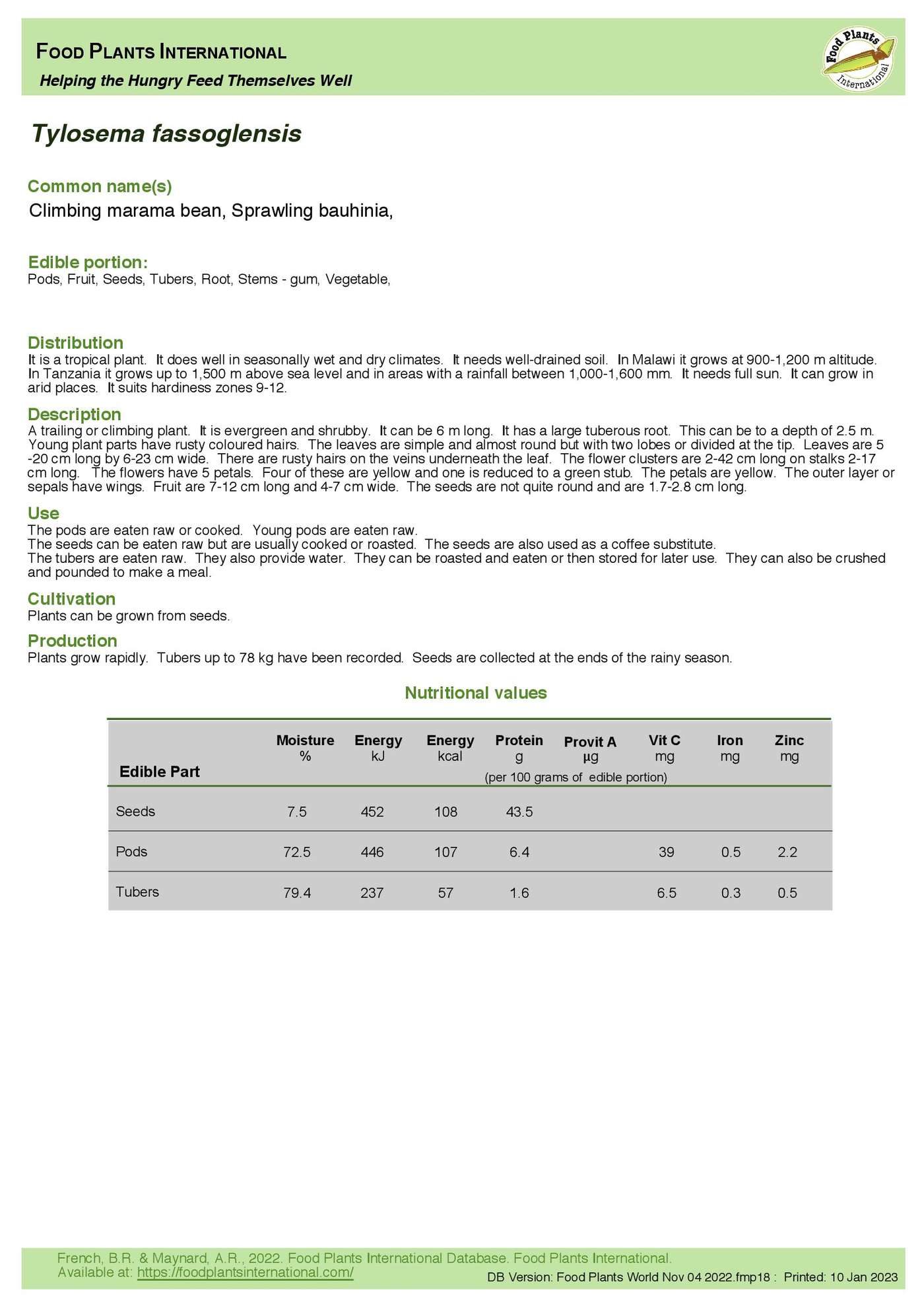 Tylosema fassoglensis - Climbing Marama Bean | ECHOcommunity.org
