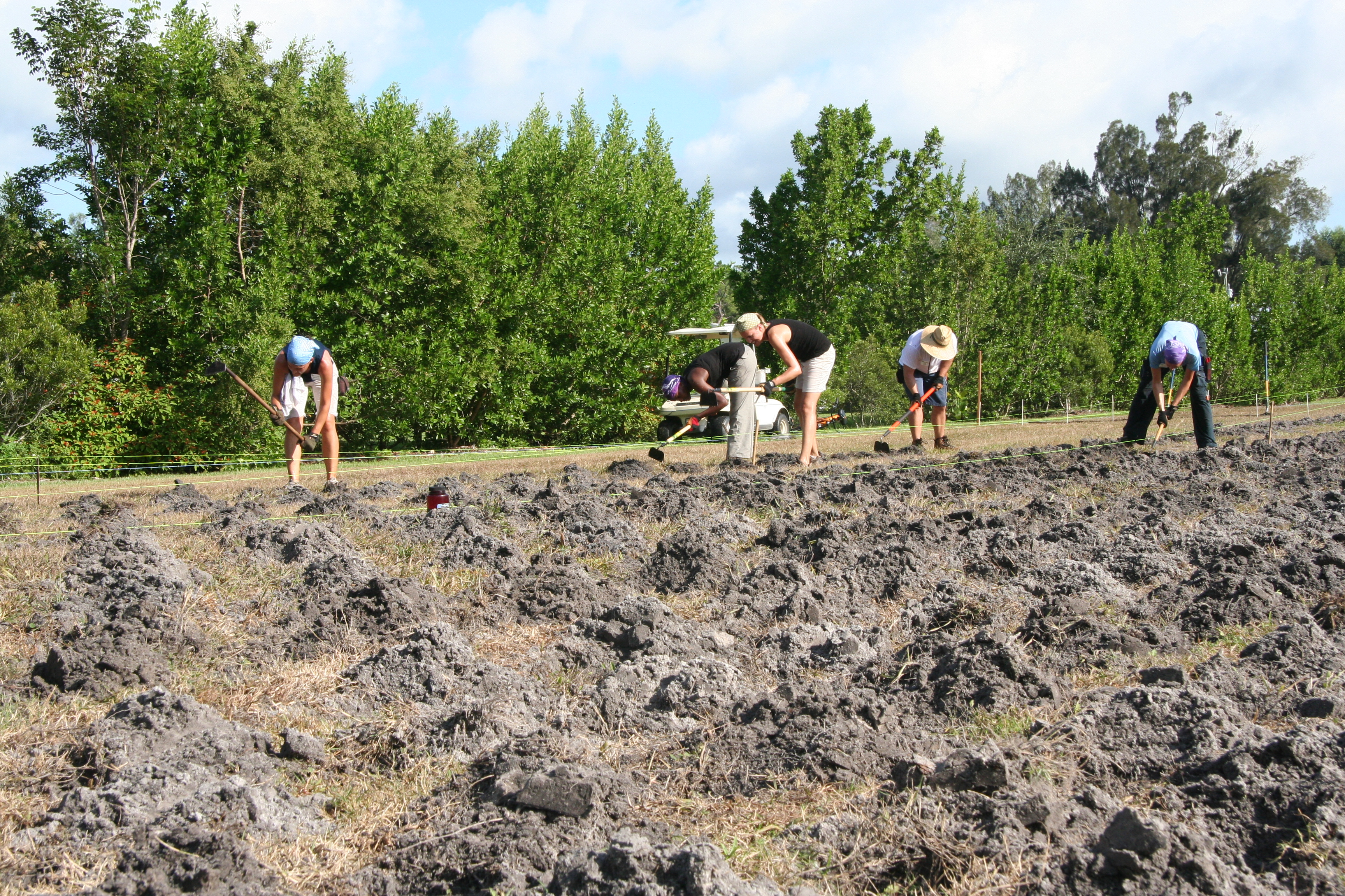 Interns Working 2008 Promotional | ECHOcommunity.org
