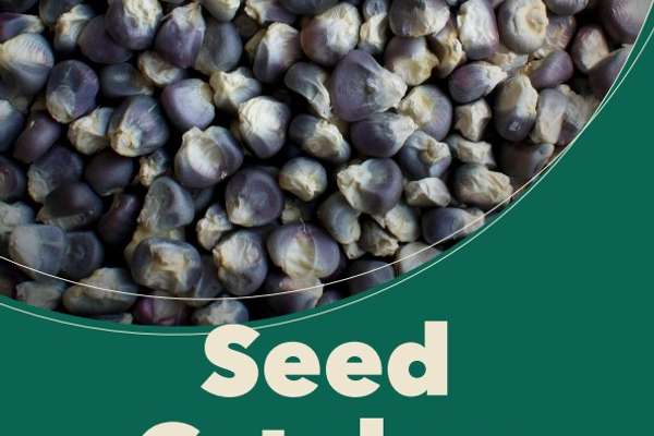 ECHO Asia Seed Catalog 2024/2025 | ECHOcommunity.org