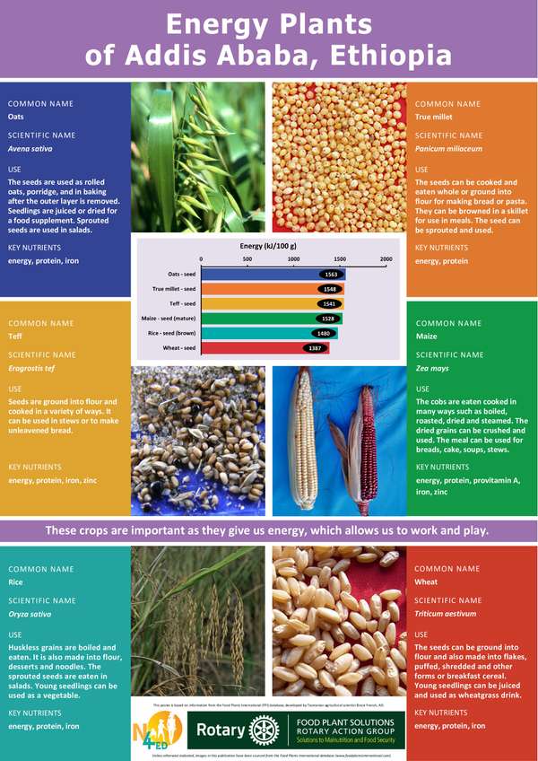 Poster - Energy Plants of Addis Ababa, Ethiopia | ECHOcommunity.org