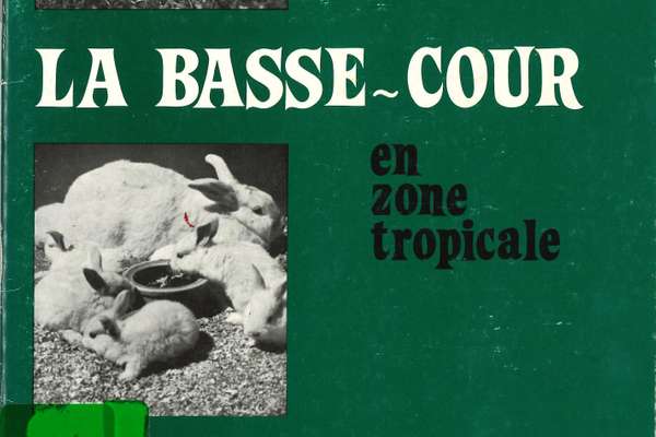 La Basse-cour en zone tropicale | ECHOcommunity.org