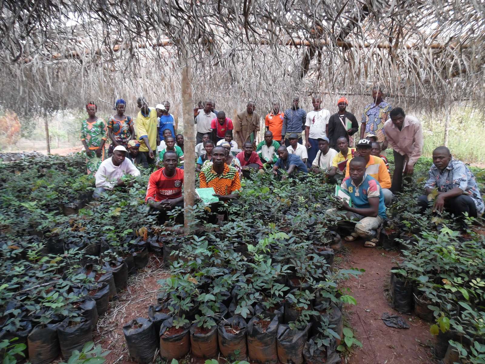 Manejo de viveros pequeños | ECHOcommunity.org