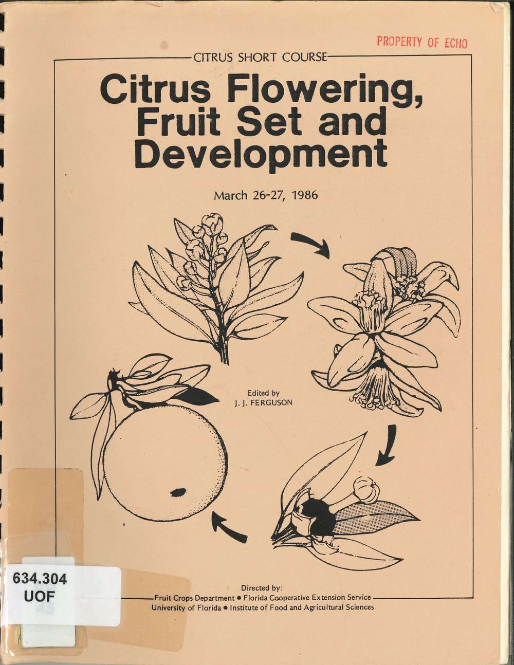 Citrus Flowering, Fruit Set and Development | ECHOcommunity.org