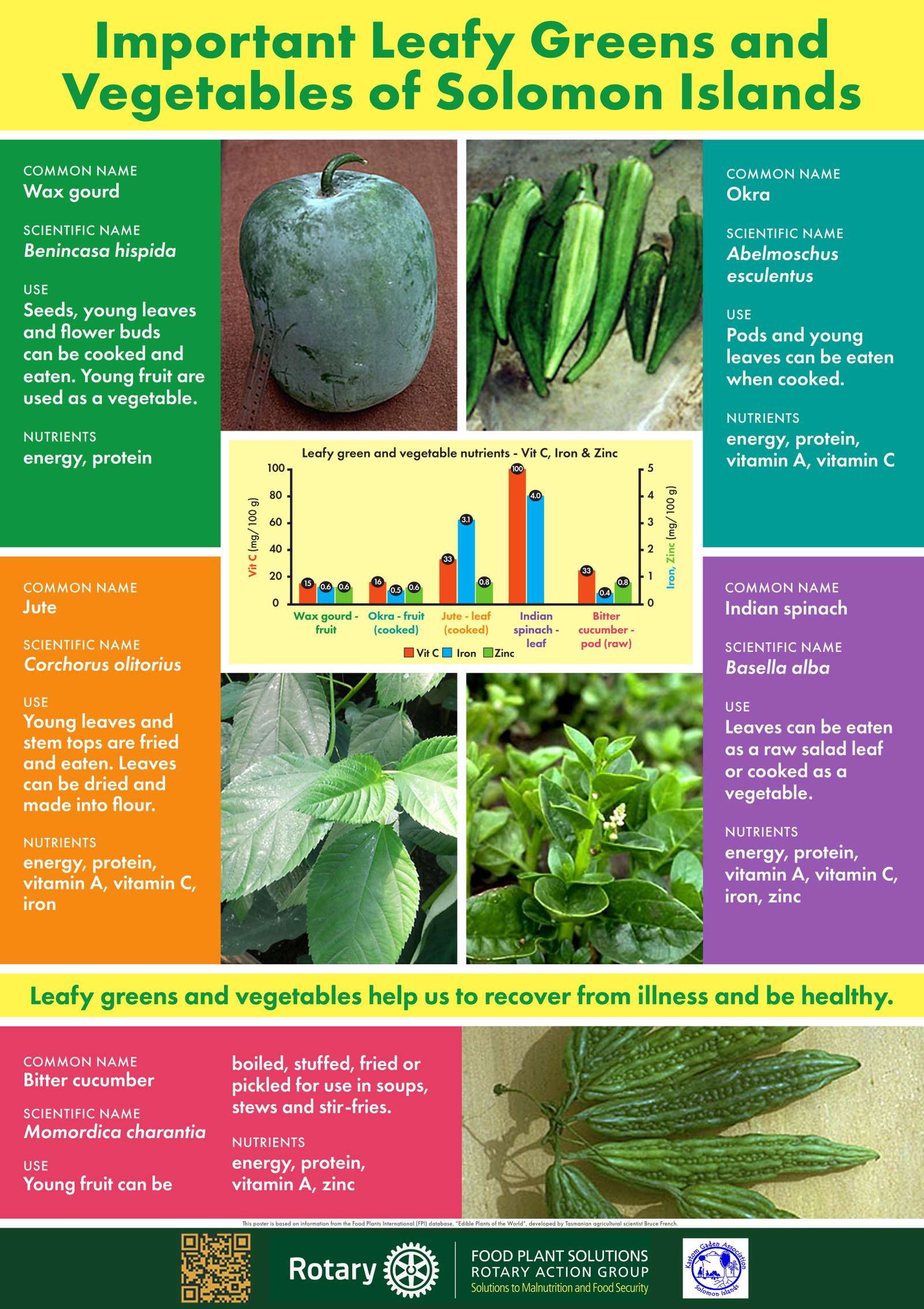 Important Leafy Greens and Vegetables of the Solomon Islands ...
