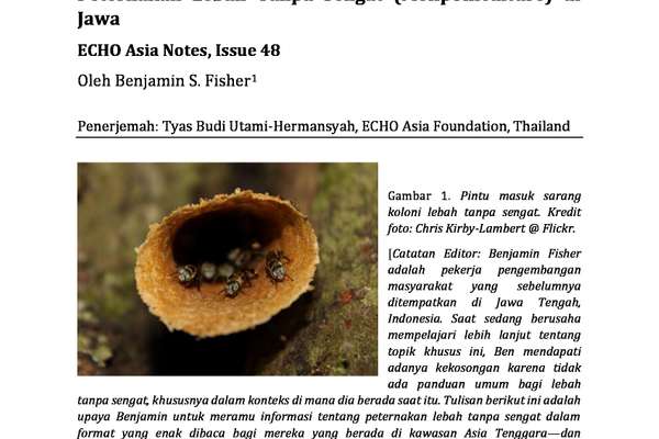 Peternakan Lebah Tanpa Sengat (Meliponiculture) di Jawa | ECHOcommunity.org