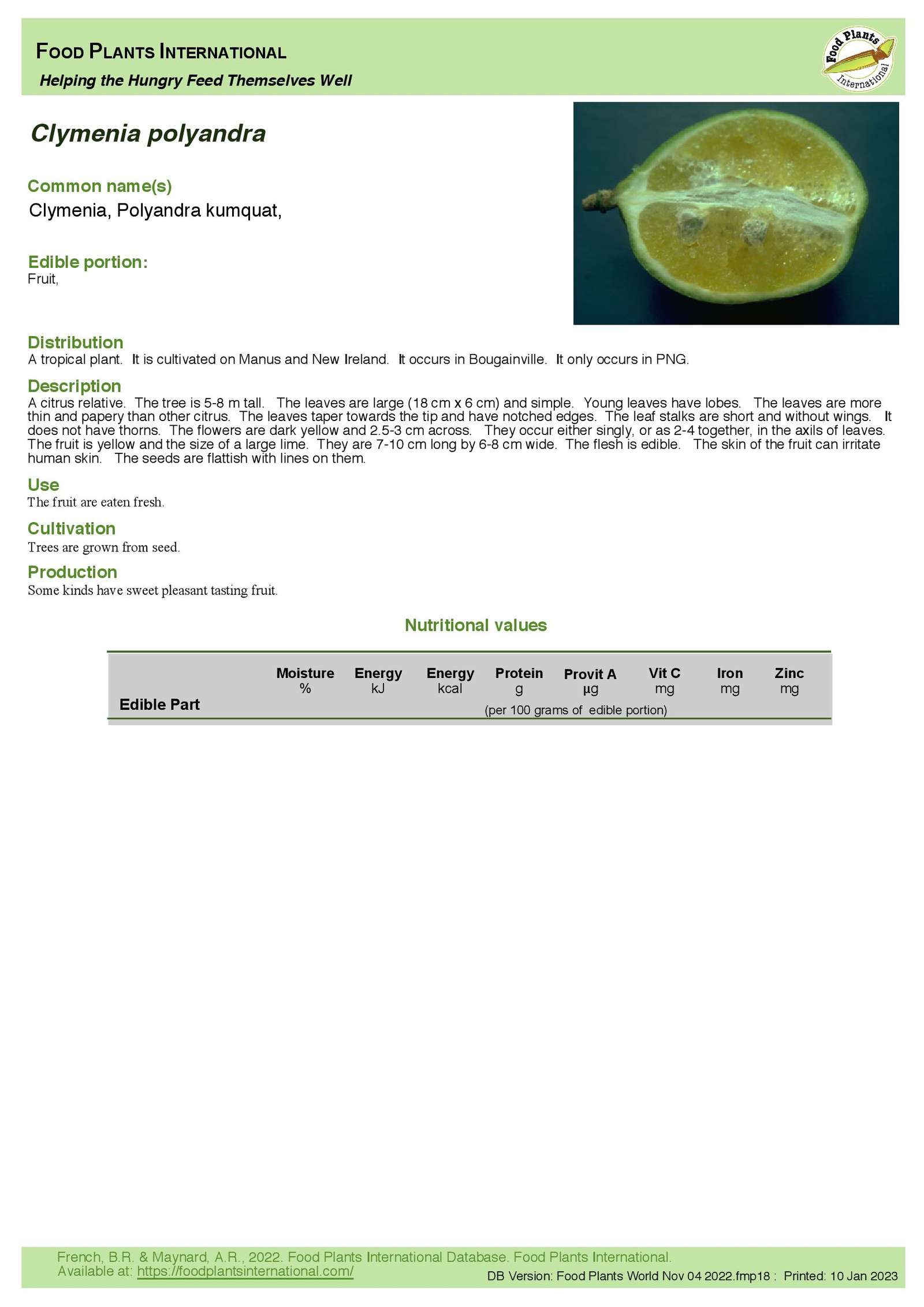 Clymenia polyandra - Clymenia, Polyandra Kumquat | ECHOcommunity.org