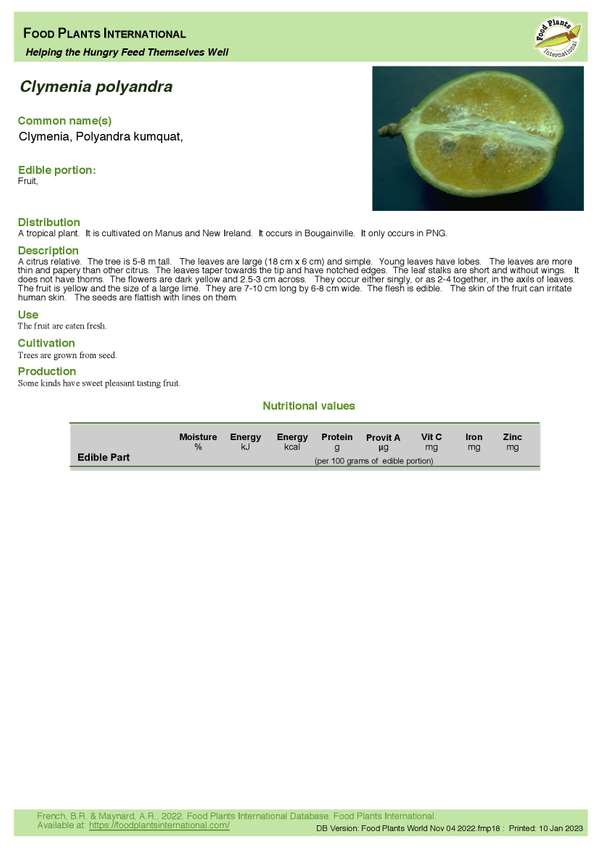 Clymenia polyandra - Clymenia, Polyandra Kumquat | ECHOcommunity.org