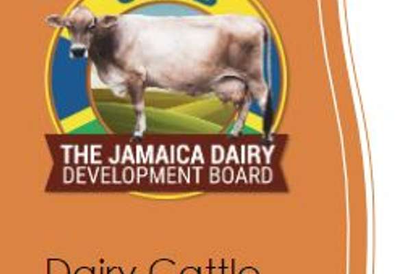 Dairy cattle management handbook | ECHOcommunity.org