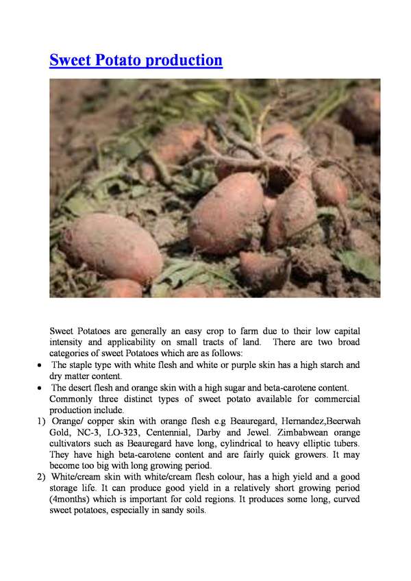 C - Sweet Potato Production – ZAS | ECHOcommunity.org