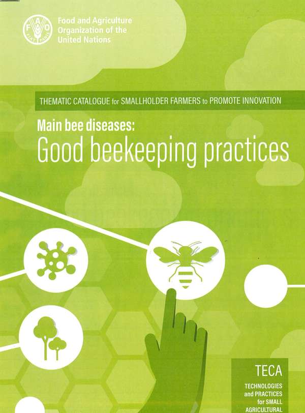 Main bee diseases : Good beekeeping practices | ECHOcommunity.org
