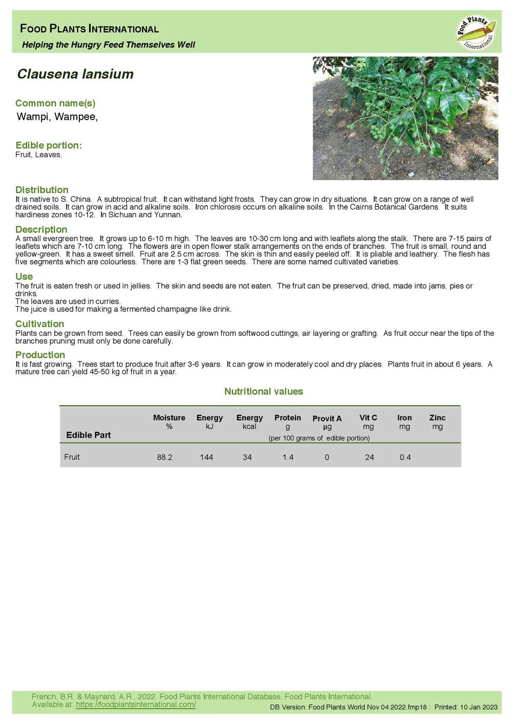 Clausena lansium - Wampi | ECHOcommunity.org