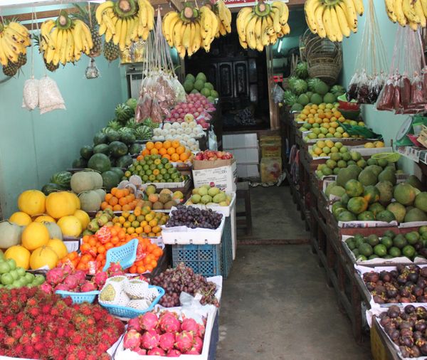 ECHO Summary - MEAS Brief #4 : Figure 1 | ECHOcommunity.org