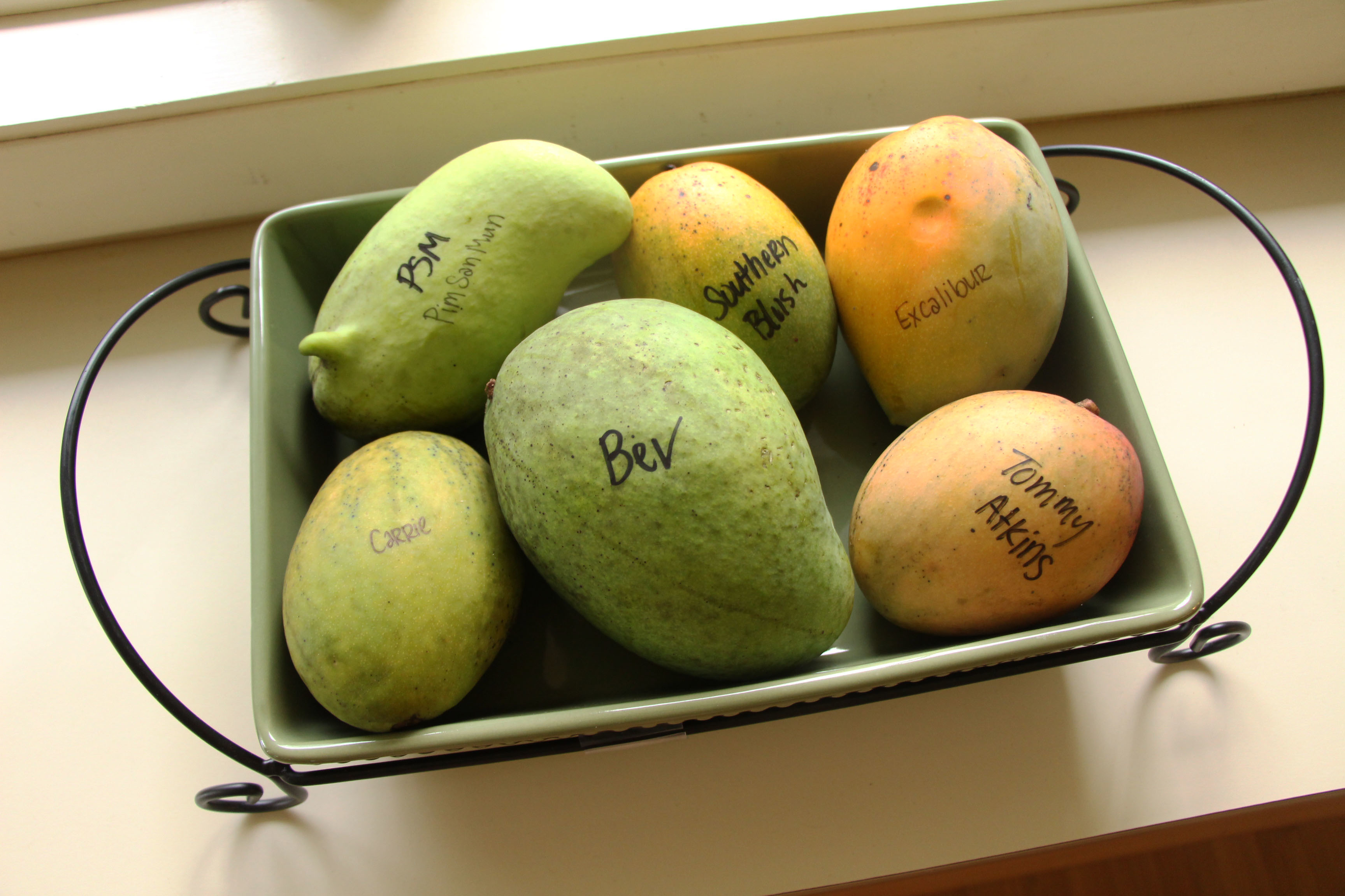 Course Promo_Mango Varieties | ECHOcommunity.org