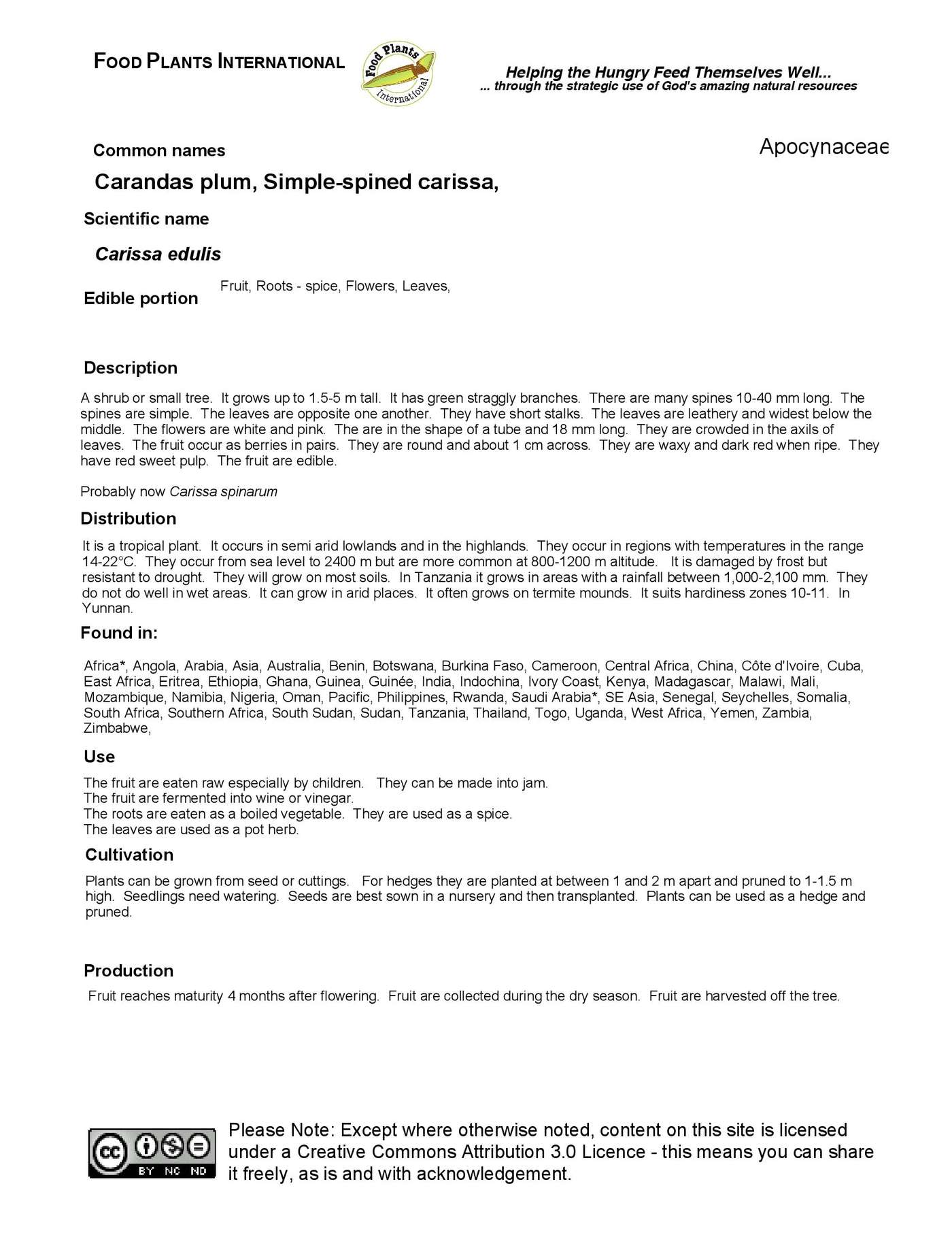 Carissa edulis - Caradas plum, simple-spined carissa | ECHOcommunity.org