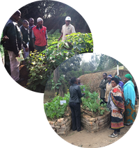 Happy and Adive teaching combined | ECHOcommunity.org