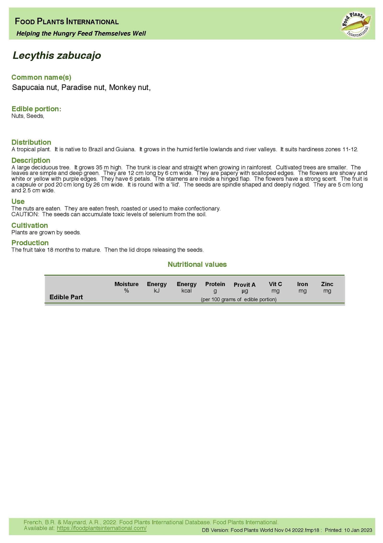 Lecythis zabucajo - Sapucaia Nut, Paradise Nut, Monkey Nut ...