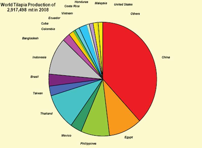 Fish Farming: Basics of Raising Tilapia & Implementing Aquaculture ...