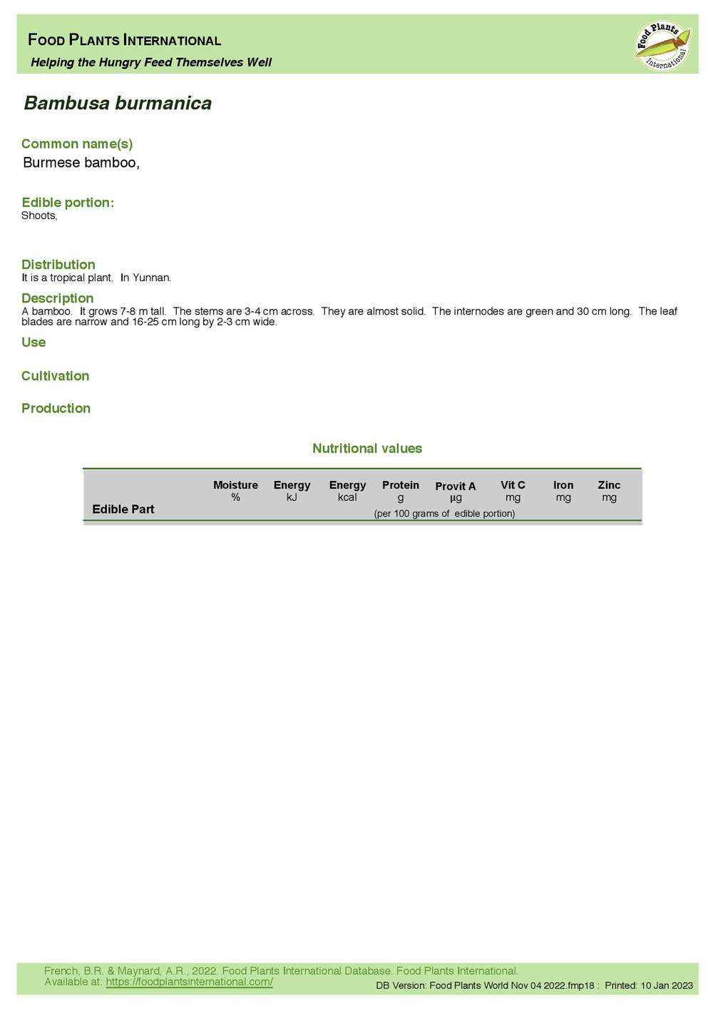 Bambusa burmanica - Burmese Bamboo | ECHOcommunity.org
