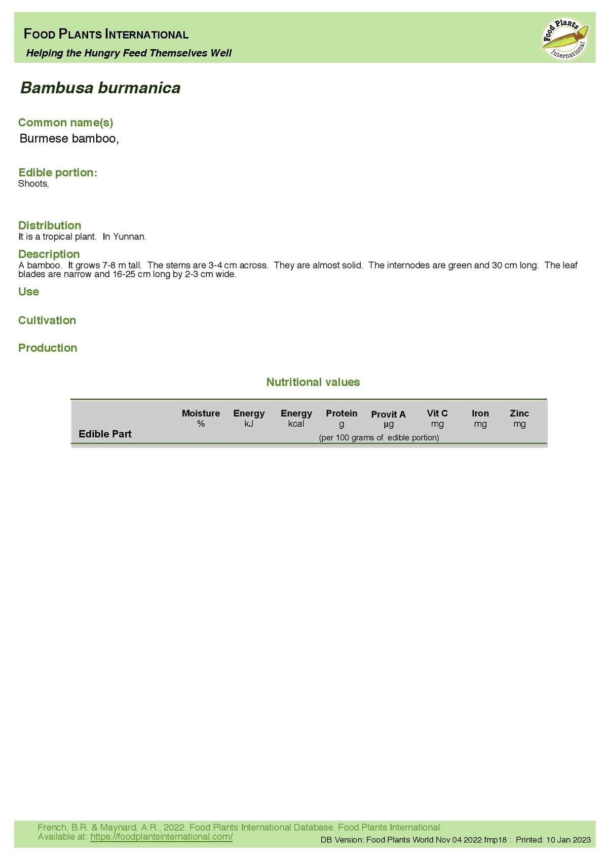 Bambusa burmanica - Burmese Bamboo | ECHOcommunity.org