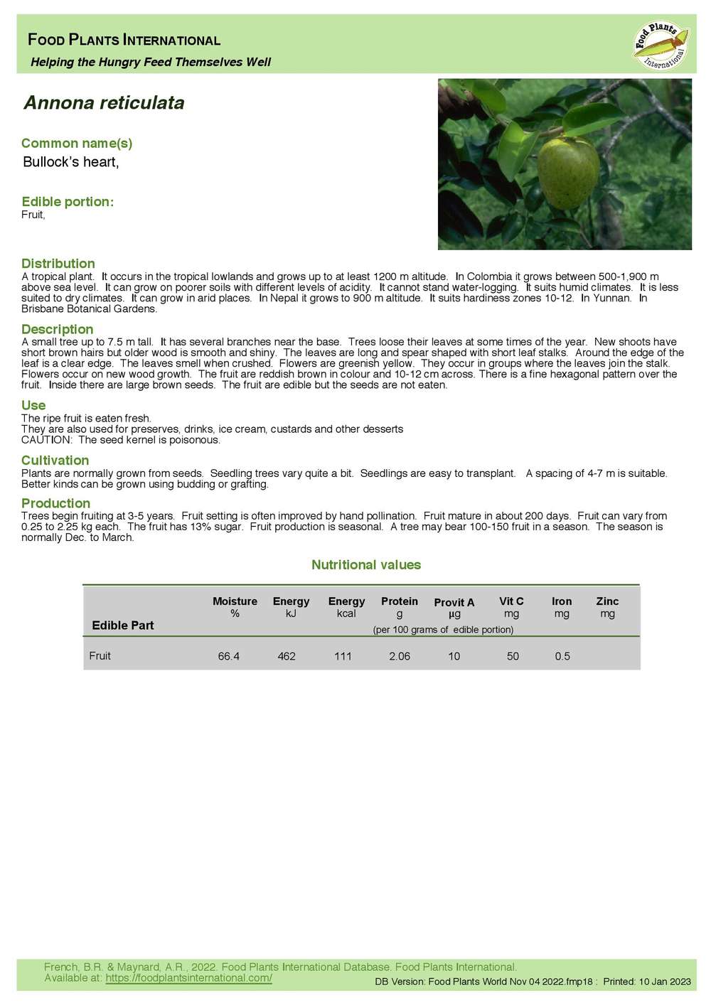 Annona reticulata - Bullocks Heart | ECHOcommunity.org