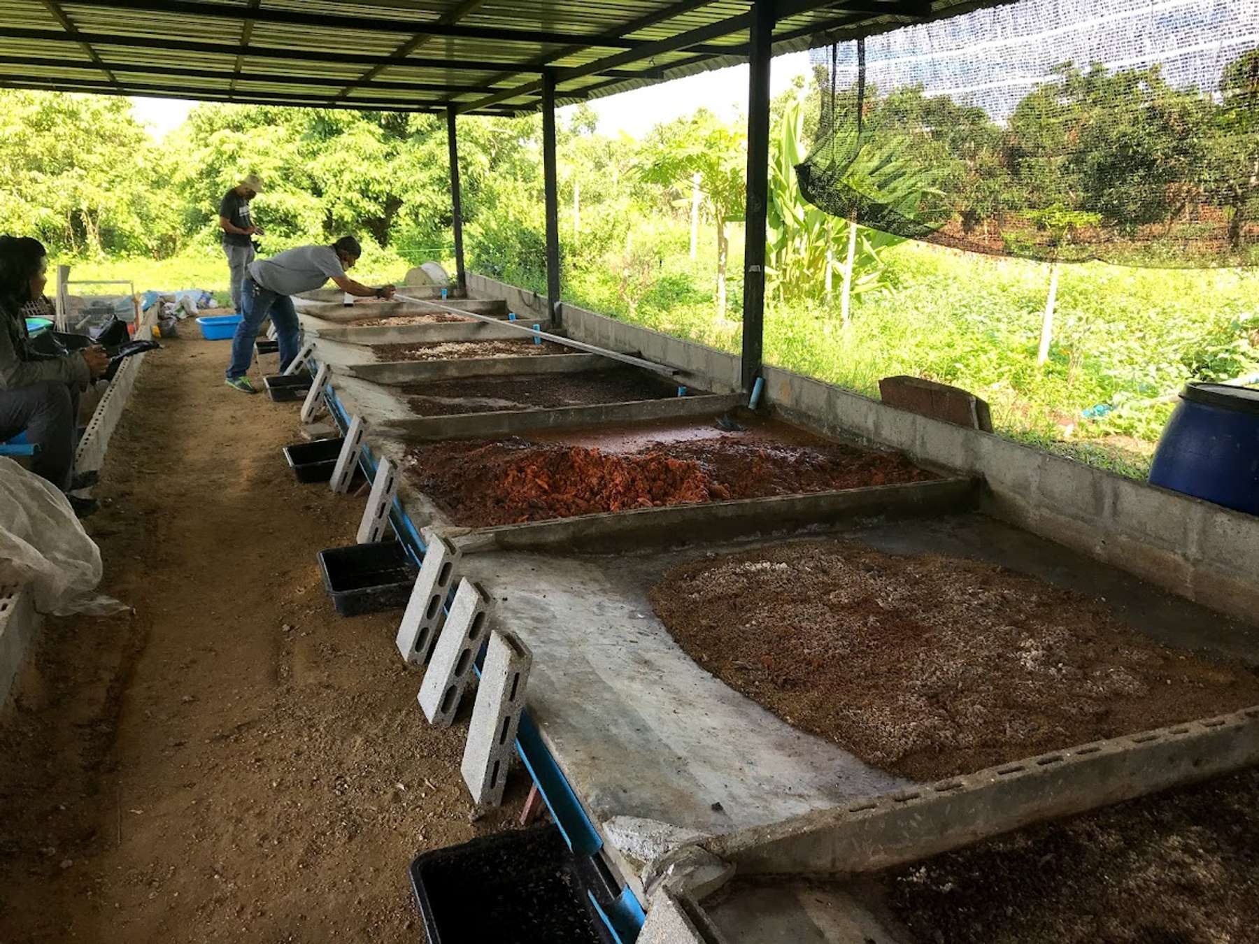 Establishing a Scaled-Up Black Soldier Fly System | ECHOcommunity.org