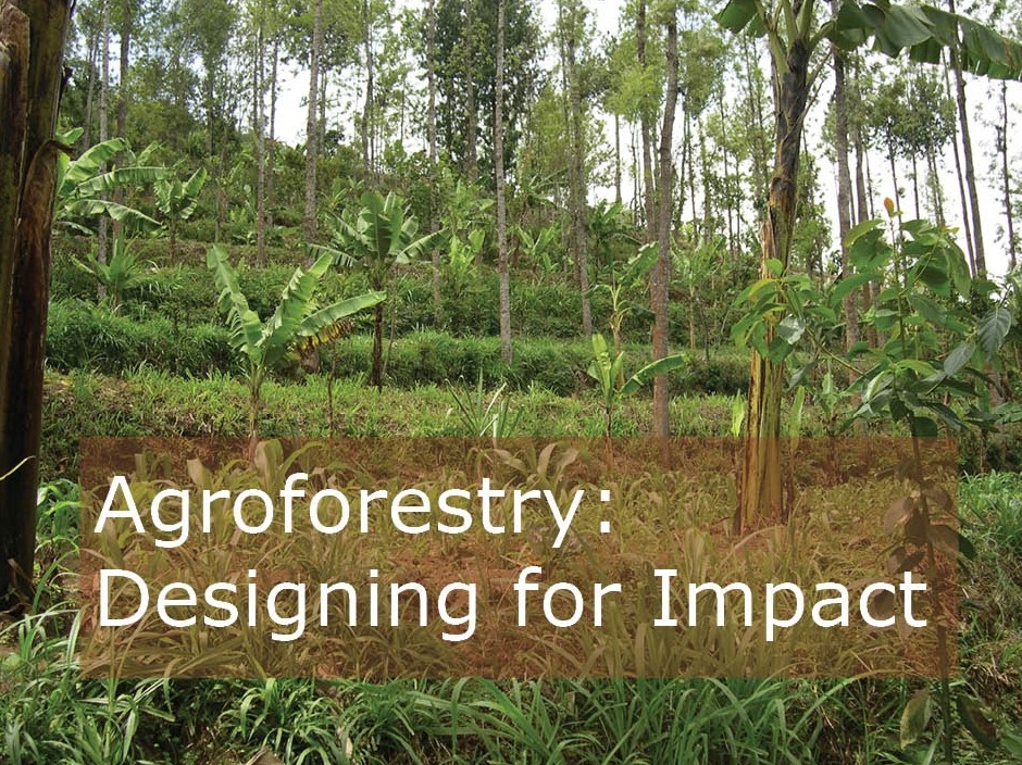 Agro Impact Header | ECHOcommunity.org
