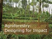 Agro Impact Header | ECHOcommunity.org