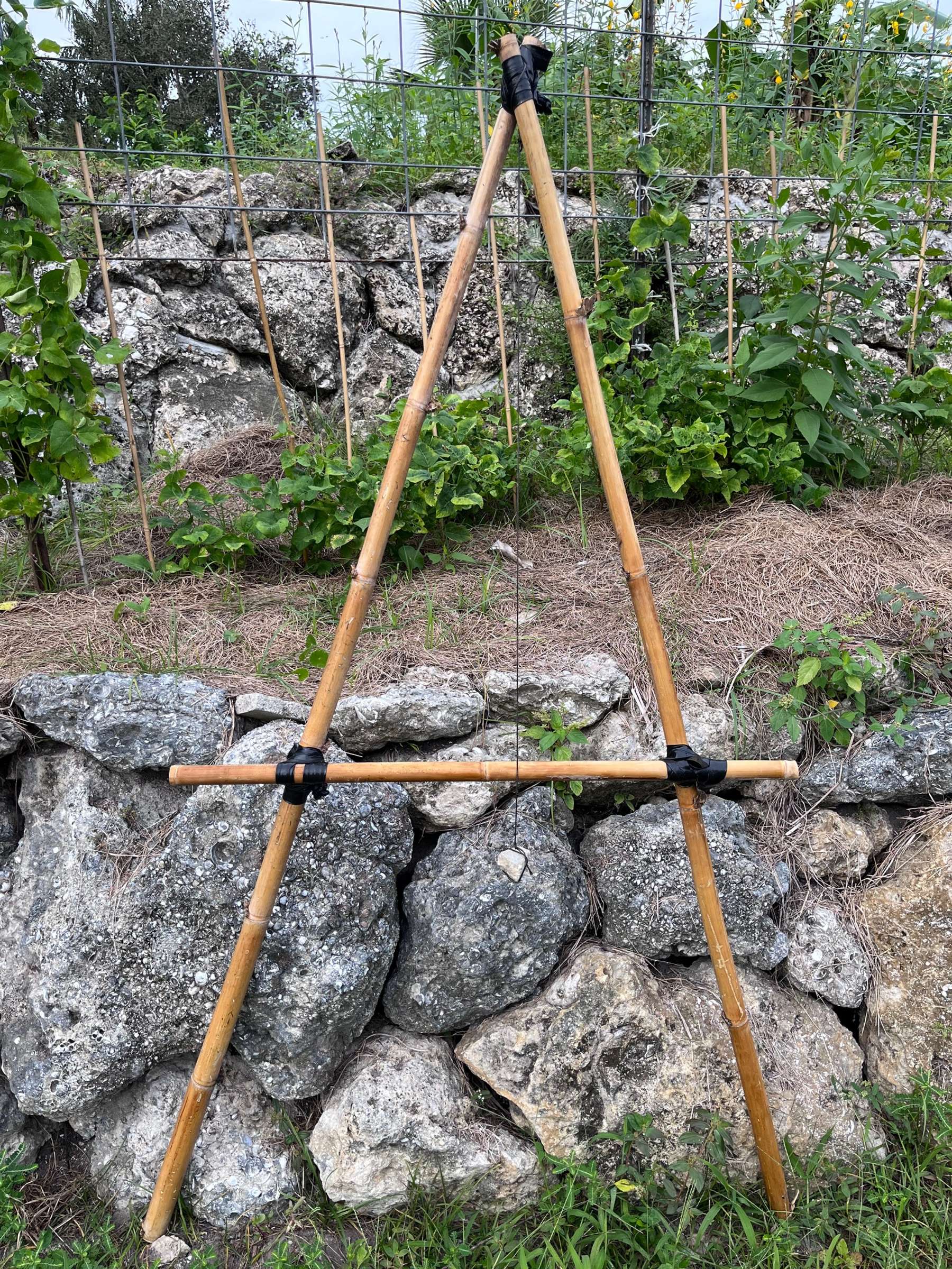 Contour Cultivation and Live Barriers for Small-Scale Farmers ...