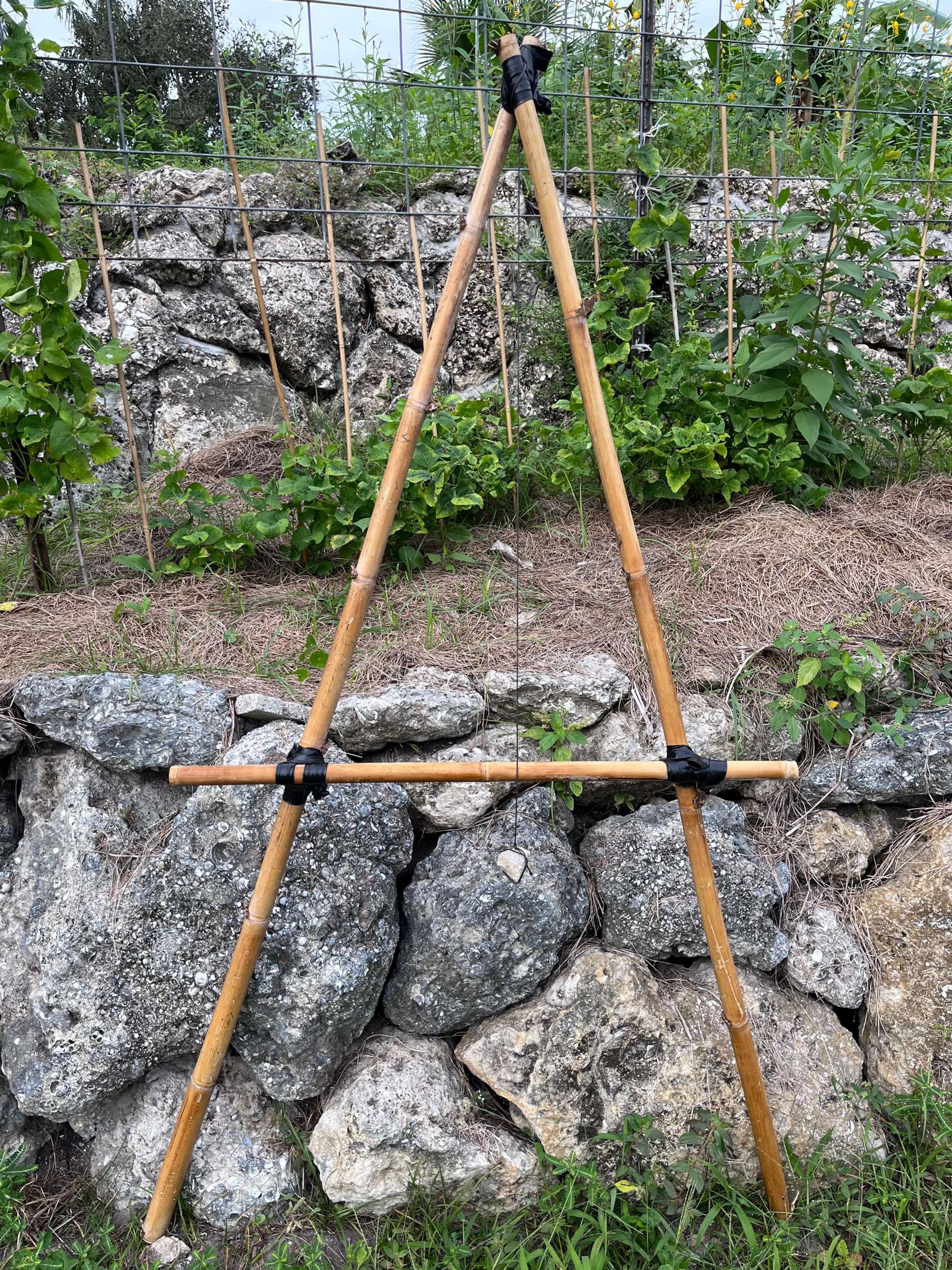 Contour Cultivation and Live Barriers for Small-Scale Farmers ...