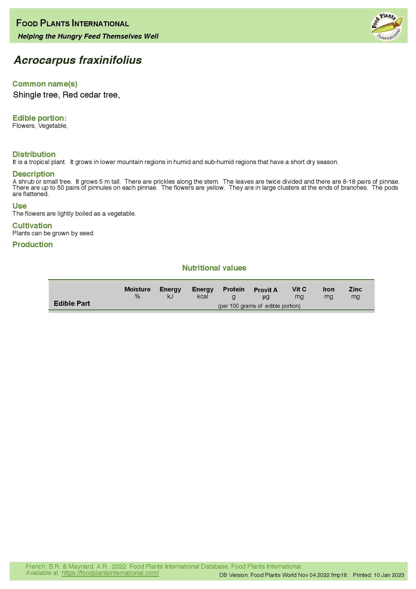 Acrocarpus fraxinifolius - Shingle Tree | ECHOcommunity.org