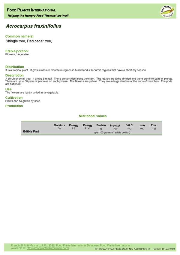 Acrocarpus fraxinifolius - Shingle Tree | ECHOcommunity.org