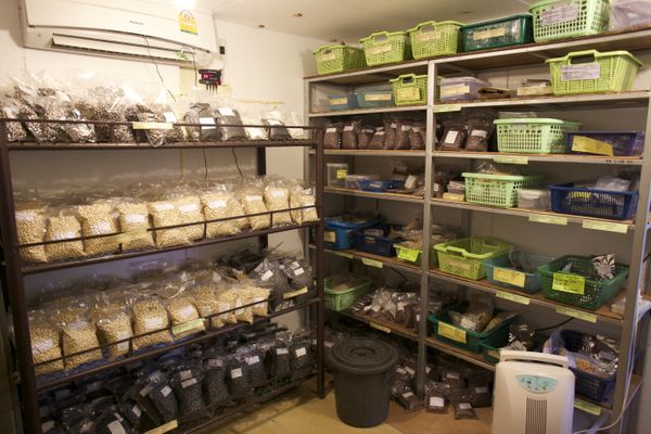 Seeds in Storage | ECHOcommunity.org