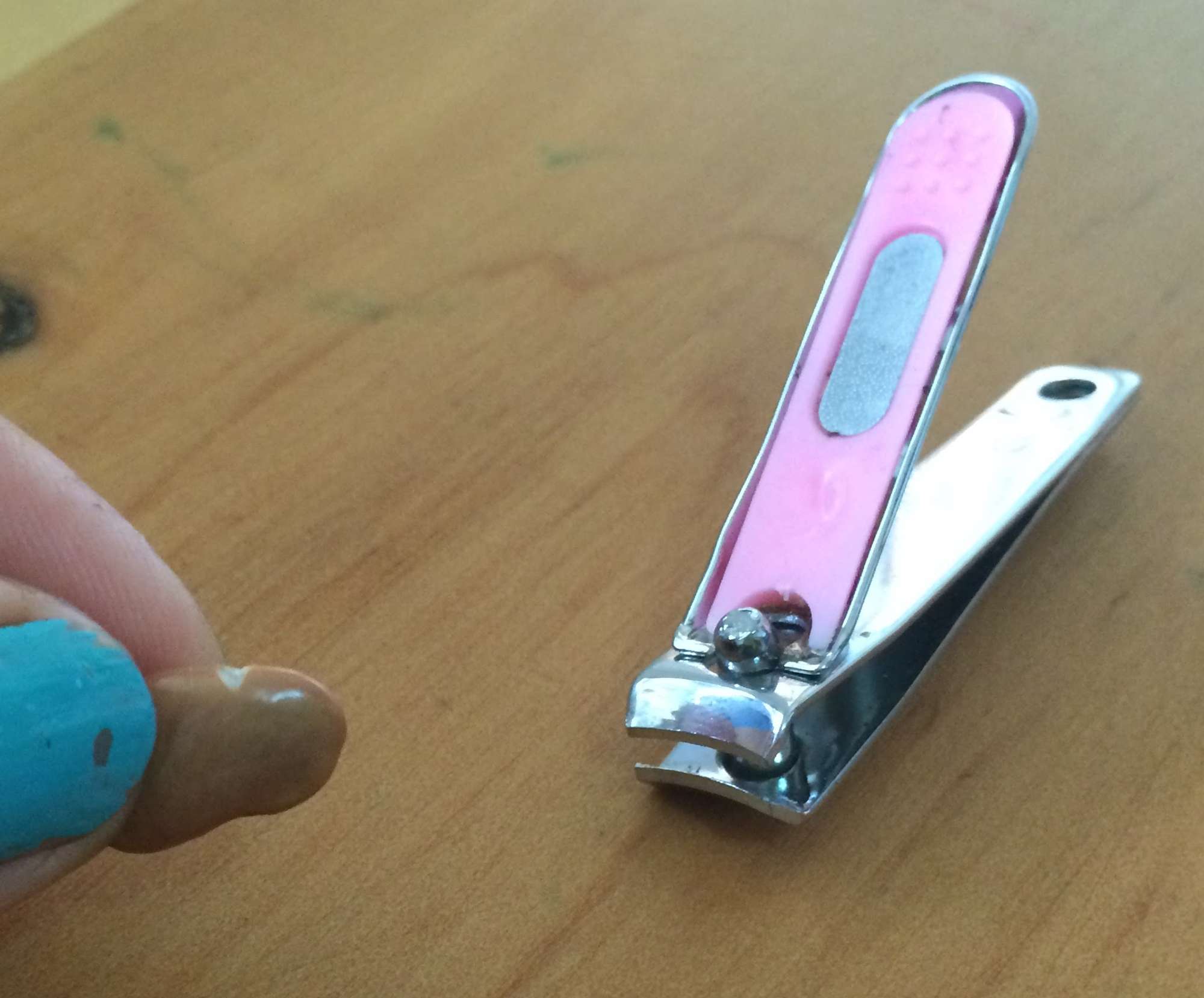 Factors that Impact Seed Germination | ECHOcommunity.org