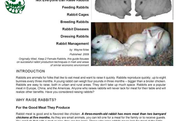 Tropical Rabbit Production: A Guide to Raising Rabbits with Few ...