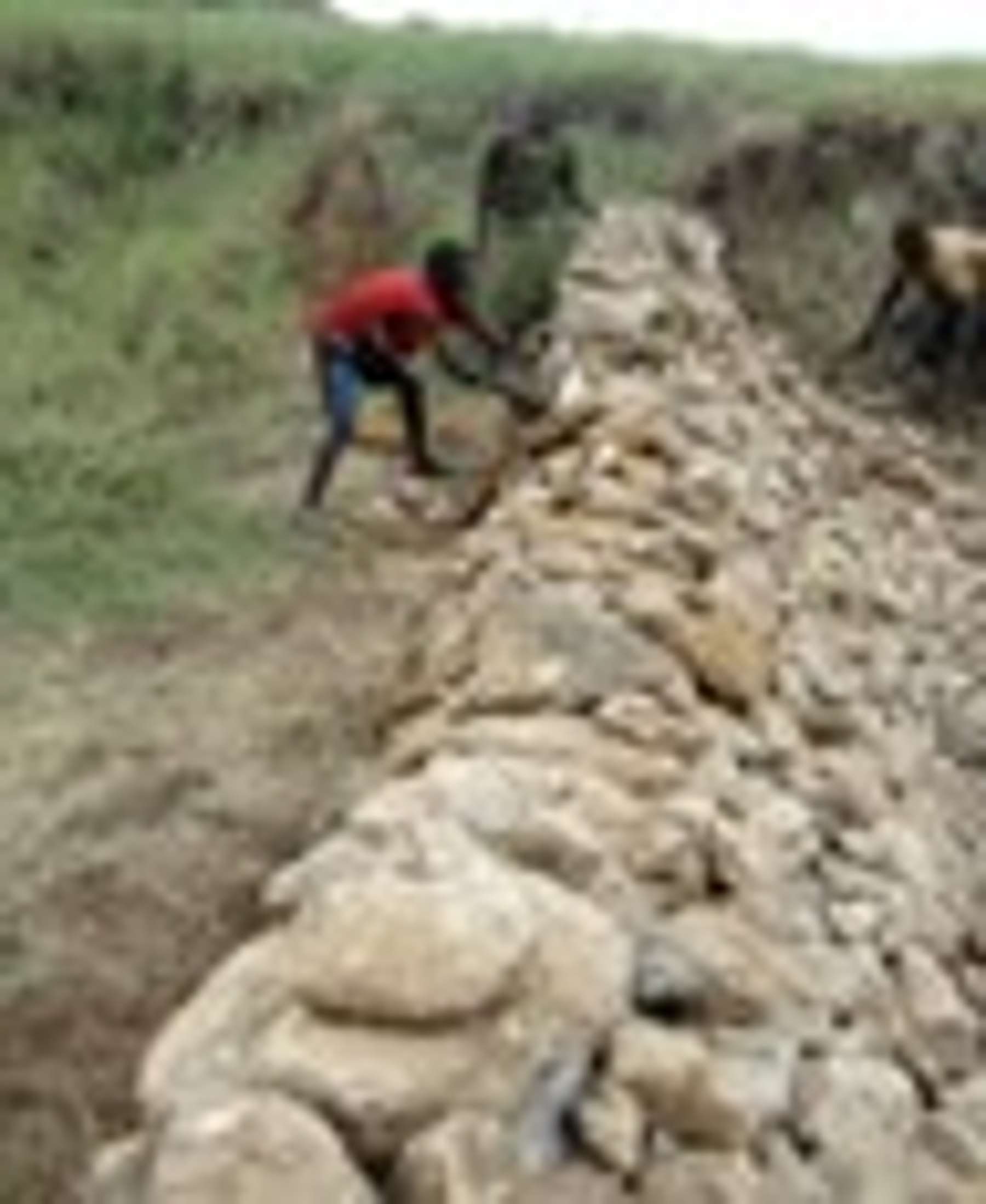 Contour Cultivation and Live Barriers for Small-Scale Farmers ...