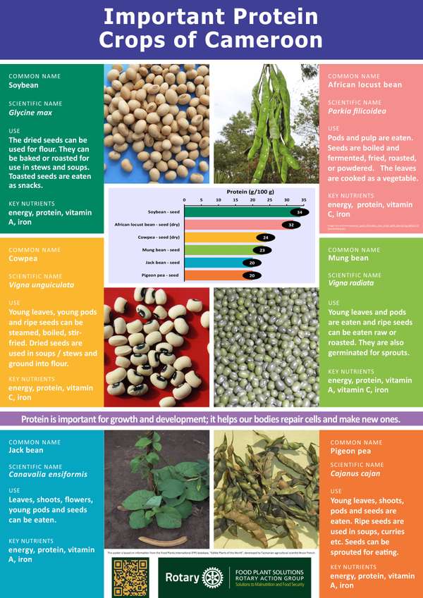 Poster - Important Protein Crops of Cameroon | ECHOcommunity.org
