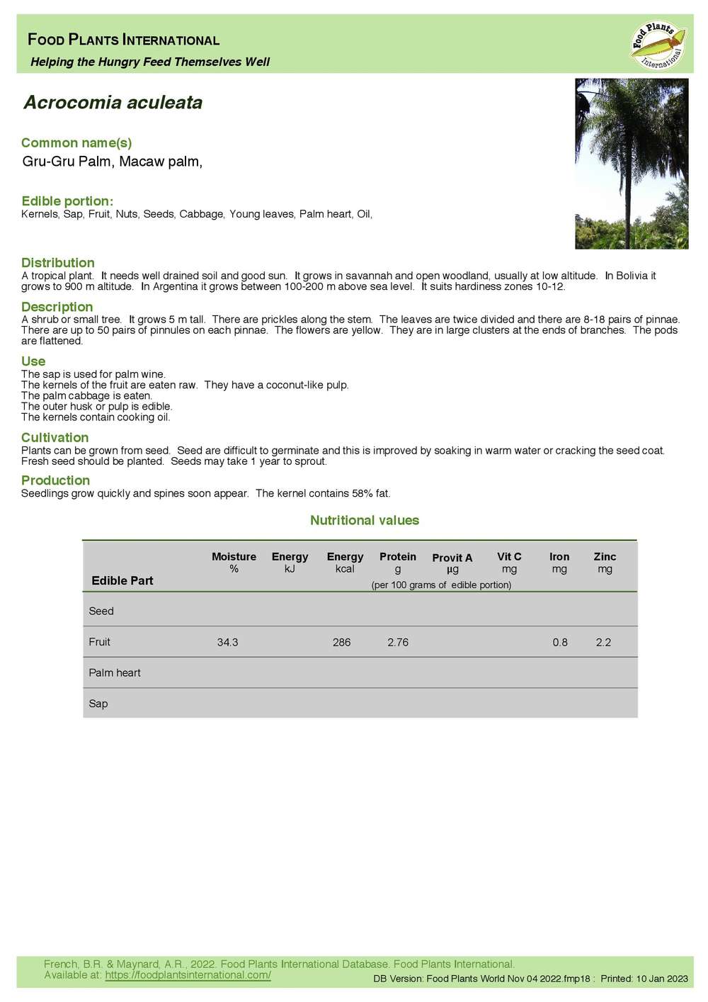 Acrocomia aculeata - Gru-Gru Palm | ECHOcommunity.org
