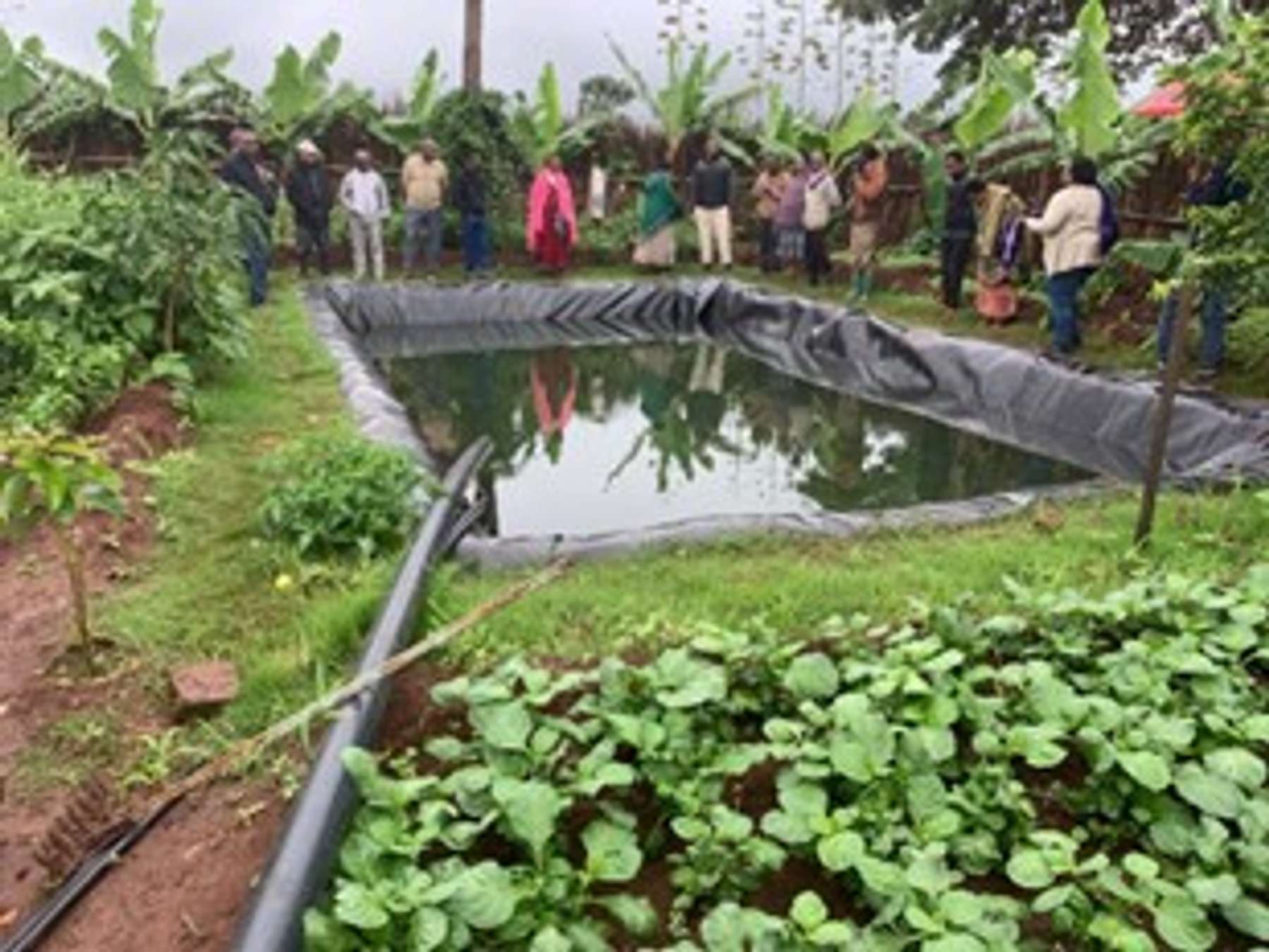 Harvesting Water with Hafirs | ECHOcommunity.org