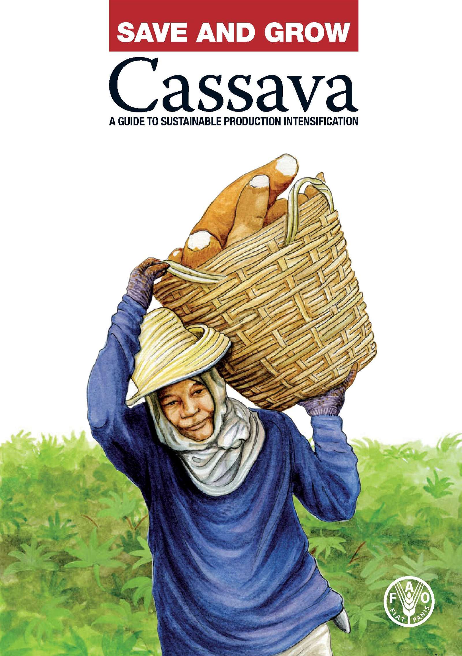 Save and Grow: Cassava - A guide to sustainable production ...