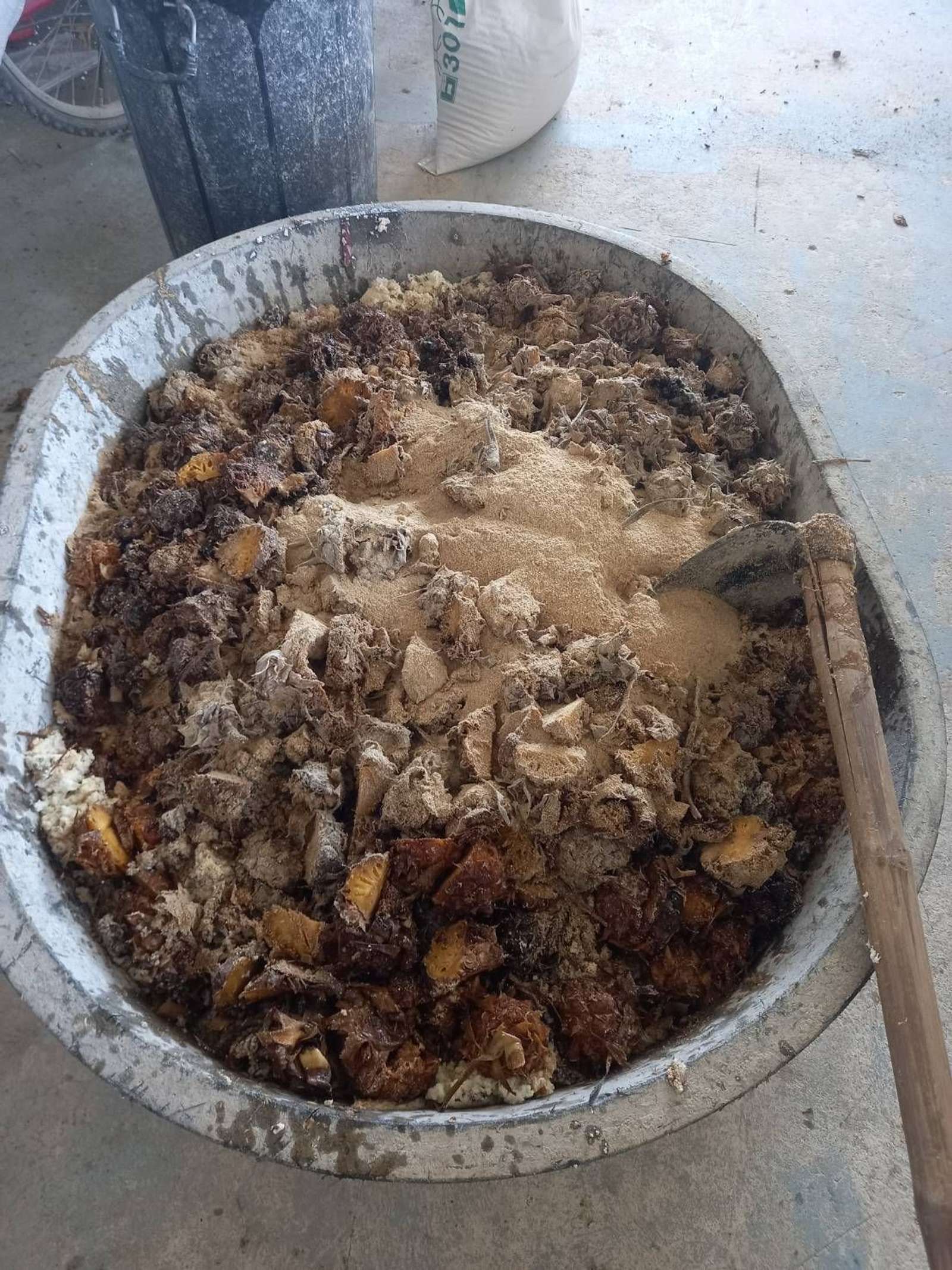 Black Soldier Fly Larvae Production | ECHOcommunity.org