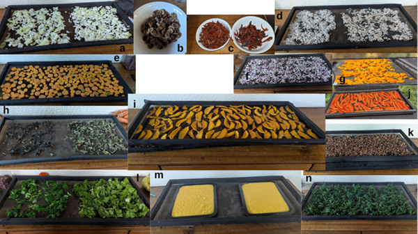 EDN169 Figure 3 dried foods from drier | ECHOcommunity.org