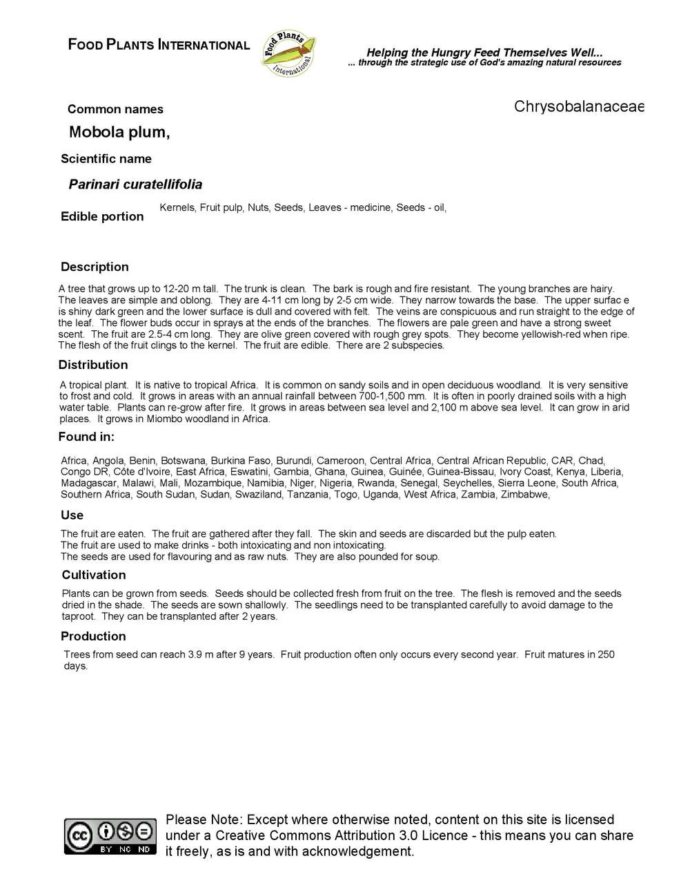 Parinari curatellifolia - Hissing Tree | ECHOcommunity.org