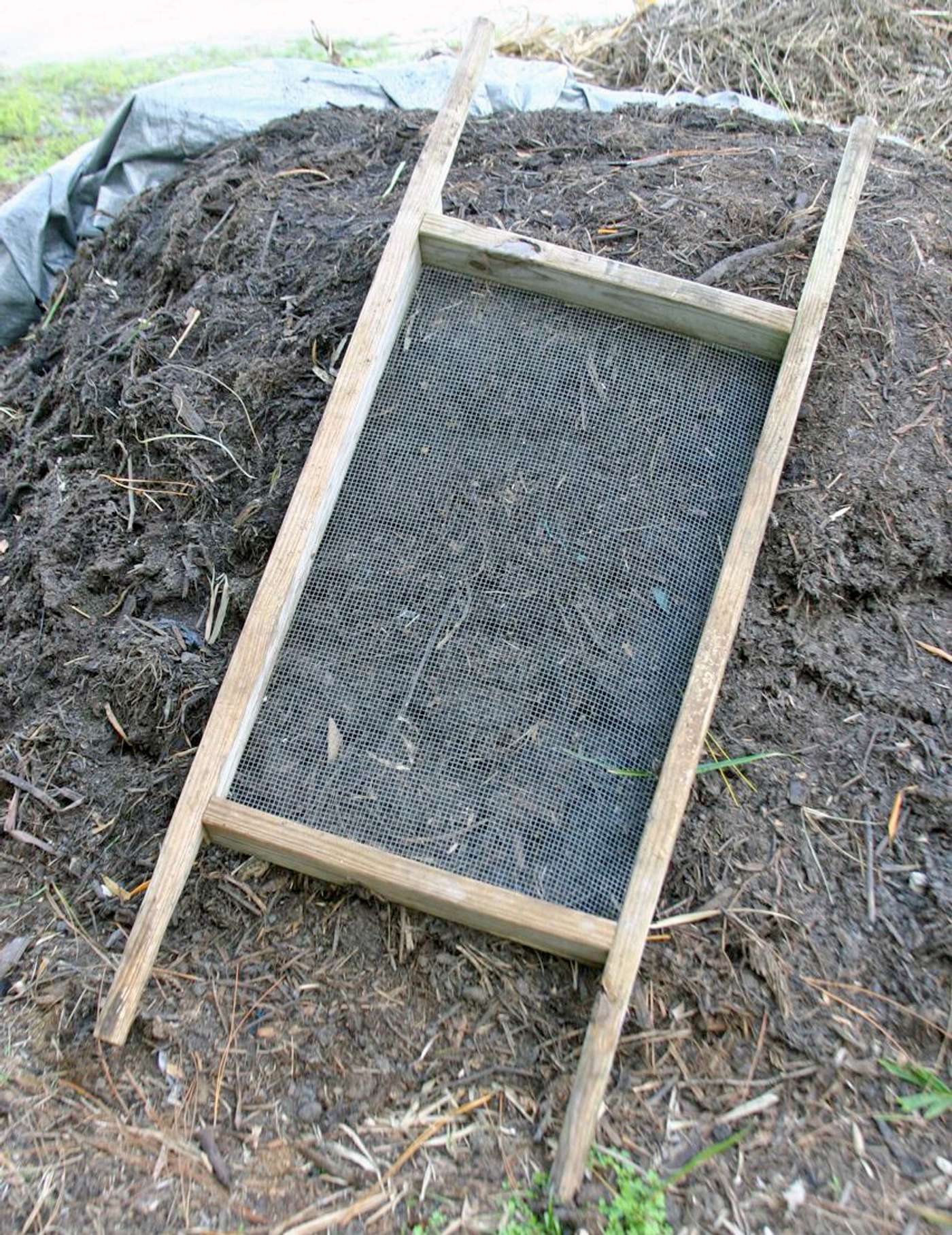 Manejo de viveros pequeños | ECHOcommunity.org